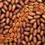 The Results Are In: How Most Americans Pronounce 'Pecan' | Sizzlfy
